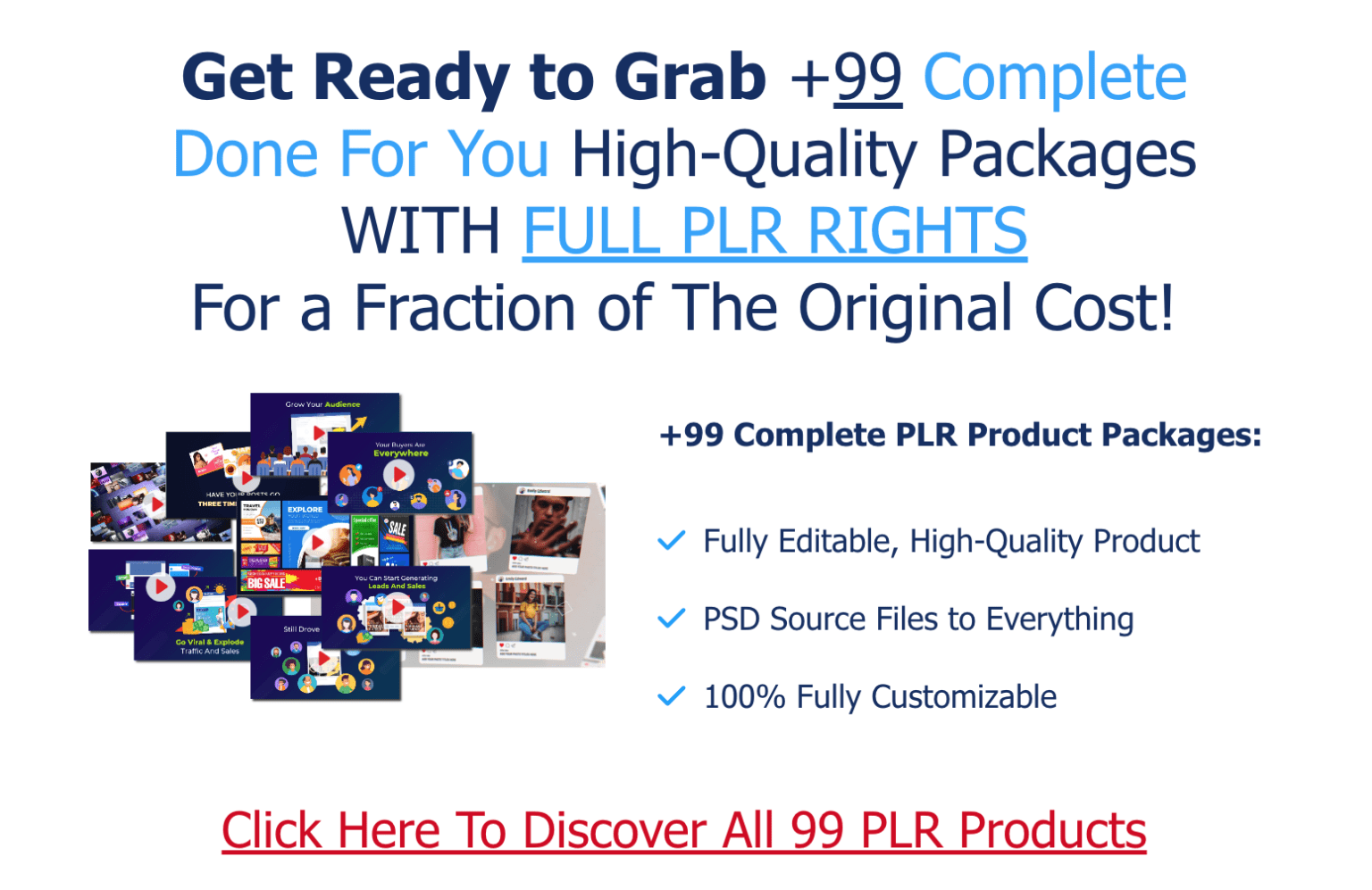 Get the New PLR Systeme Video Courses and PLR Ebooks